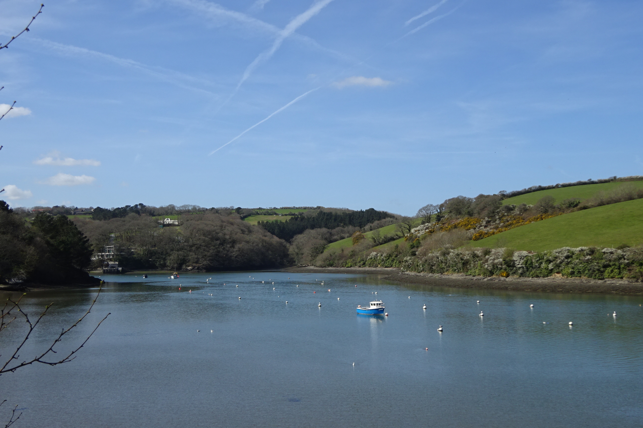 - Percuil River Moorings Limited